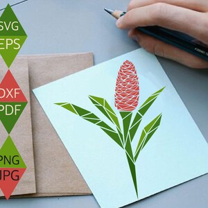Ginger Flower Svg, Flower Svg,wild Flower Svg, Hawaiian Red Ginger ...