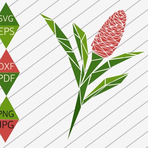 Ginger Flower Svg, Flower Svg,wild Flower Svg, Hawaiian Red Ginger ...