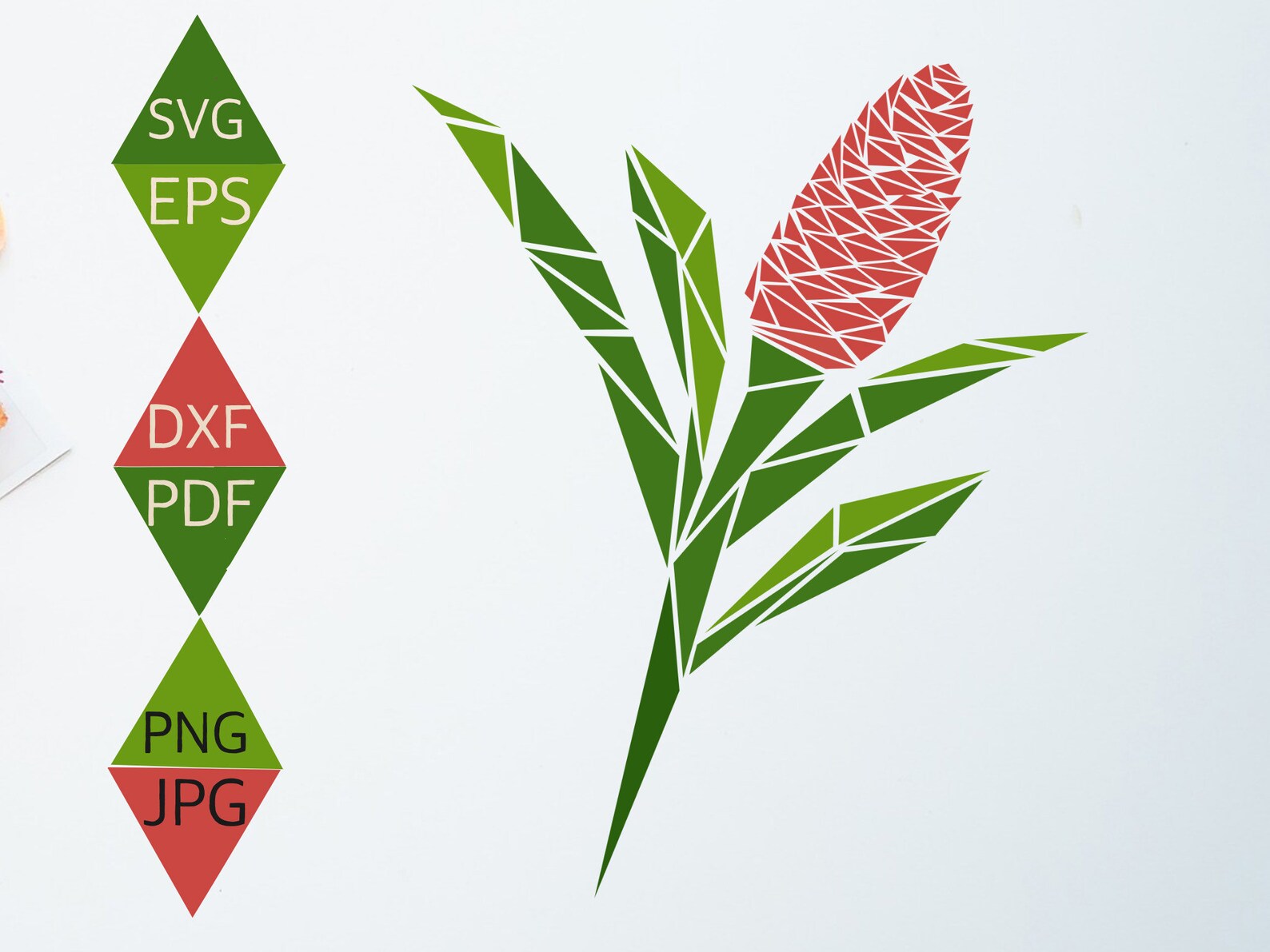 Ginger Flower Svg, Flower Svg,wild Flower Svg, Hawaiian Red Ginger ...