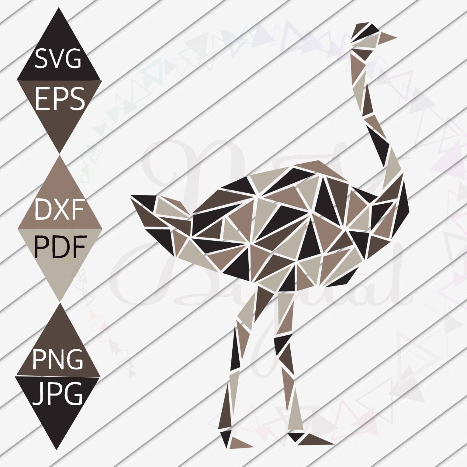 Ostrich Svg, Rustic Ostrich Svg, Desert Animal Svg, Wild Animal Svg ...