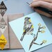 Bird SVG, Yellow Rumped Warbler SVG, Warblers SVG, Rump Bird Print Svg ...