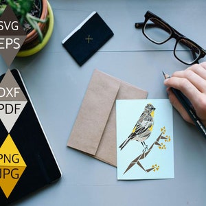Bird SVG, Yellow Rumped Warbler SVG, Warblers SVG, Rump Bird Print Svg ...