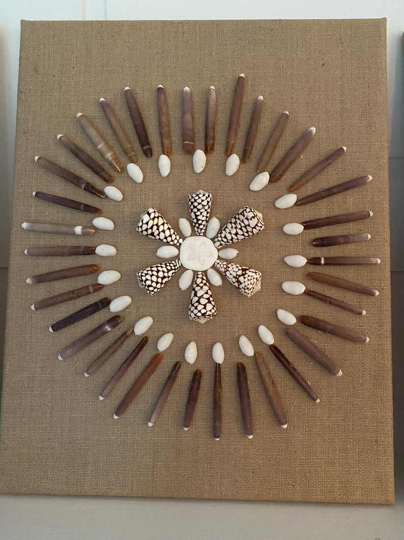 Seashell Art on Canvas - Etsy