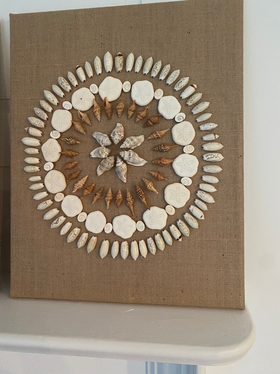 Seashell Art on Canvas - Etsy