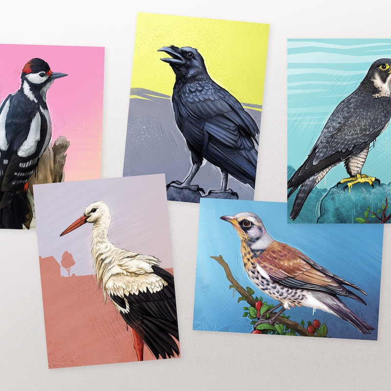 Bird Postcards - Etsy