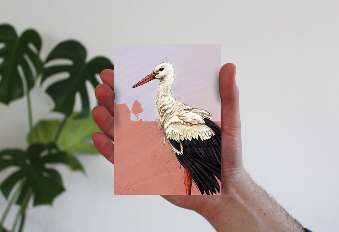 Map Bird Stork, Postcard, Greeting Card A6 - Etsy