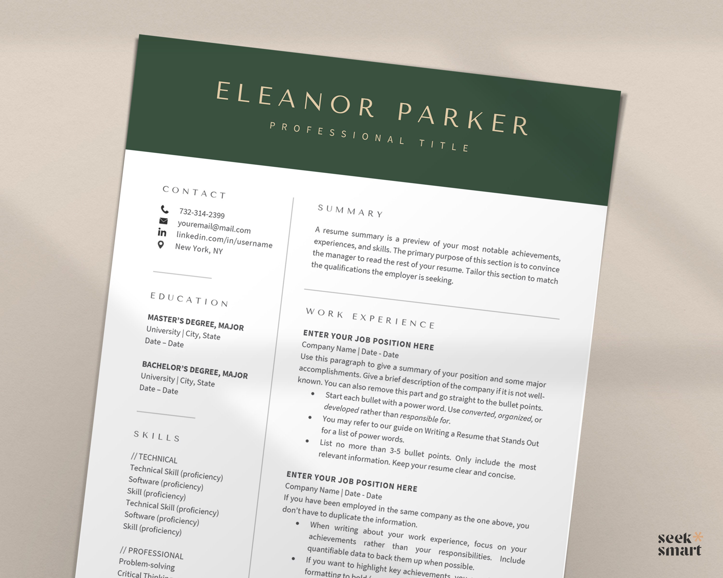 Modern Executive Resume Template Google Docs, Apple Pages Resume CV ...