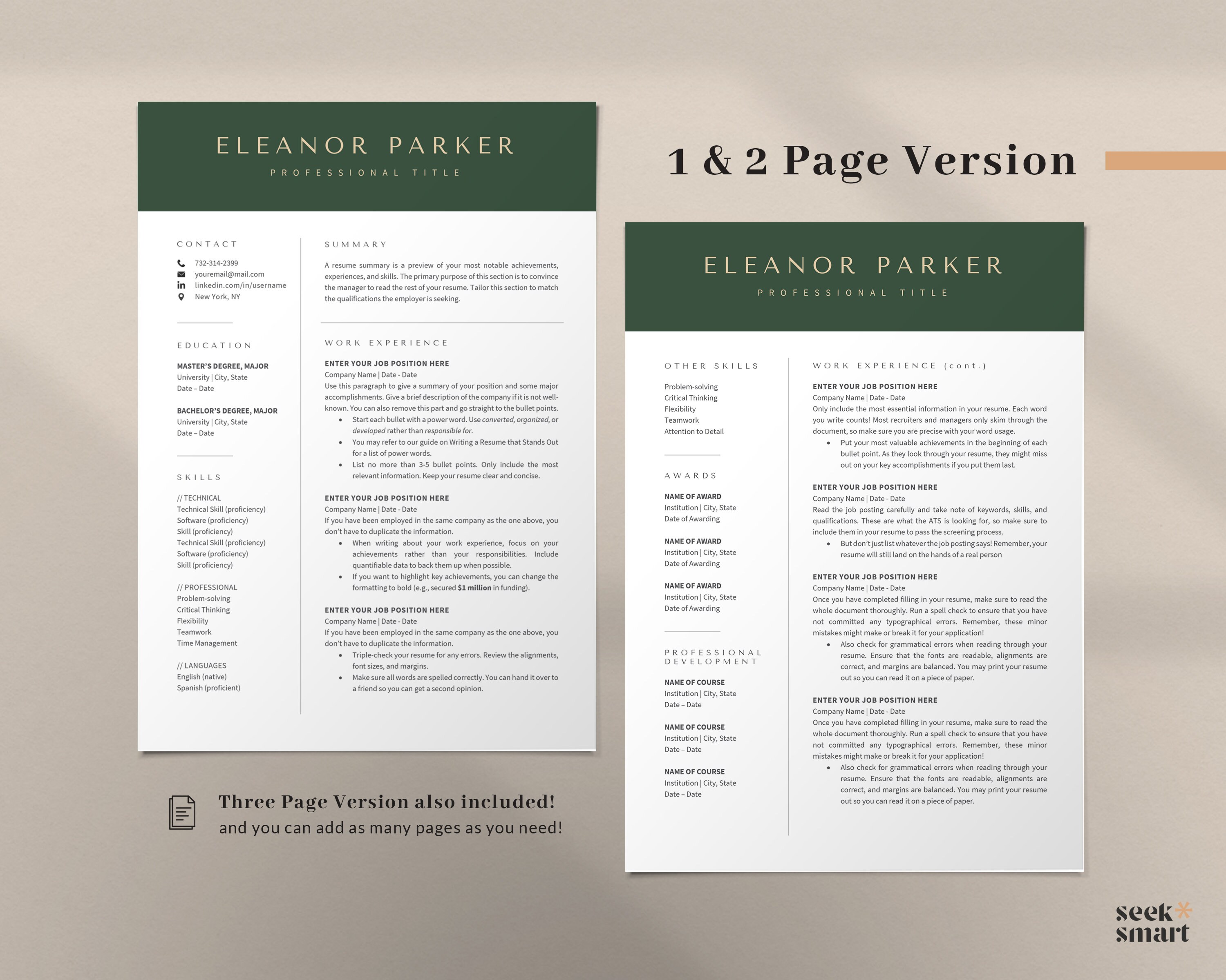 Modern Executive Resume Template Google Docs, Apple Pages Resume CV ...