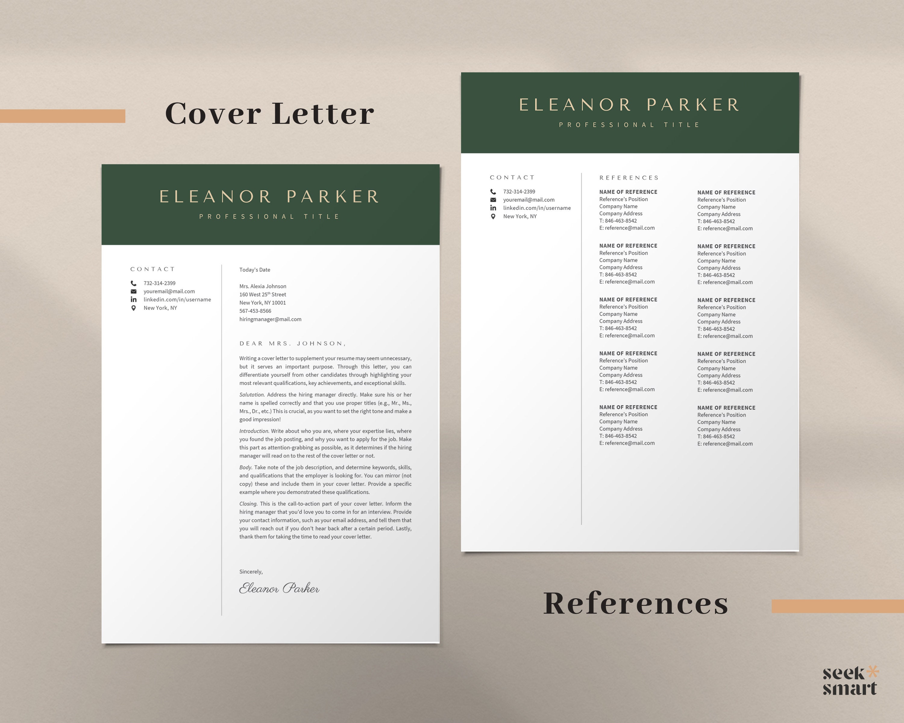 Modern Executive Resume Template Google Docs, Apple Pages Resume CV ...