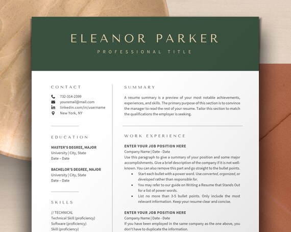 Executive Modern Resume Template Google Docs Apple Pages Professional ...