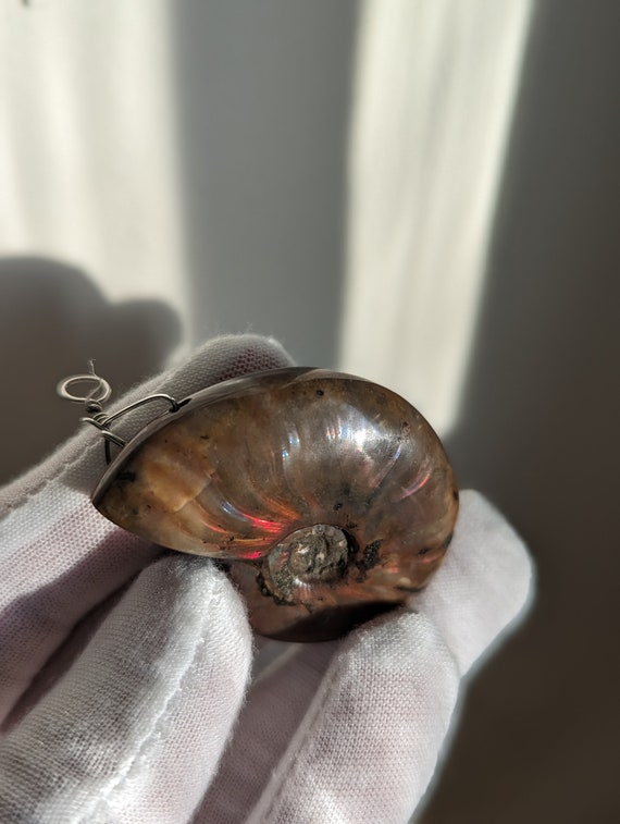 Amazing unique fossil snail on sterling wire - Gem