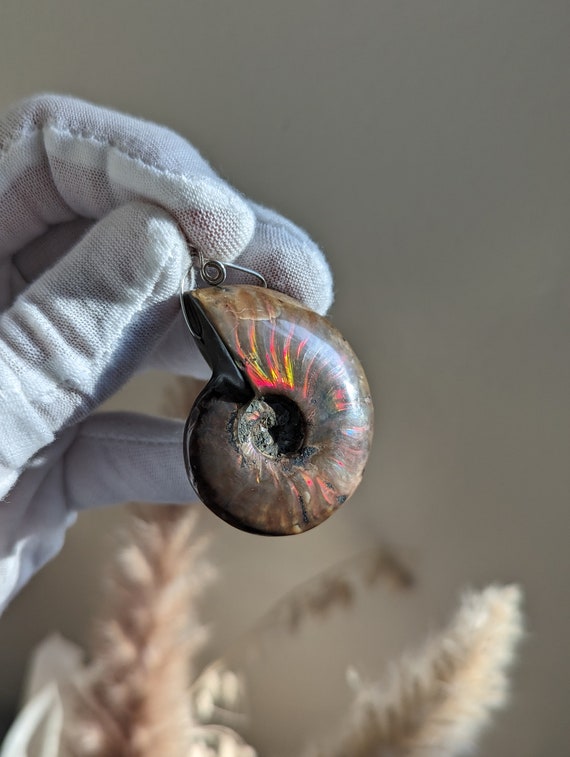 Amazing unique fossil snail on sterling wire - Gem
