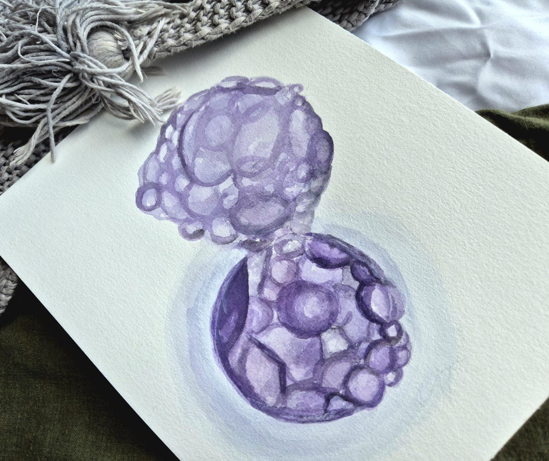 IVF Embryo Watercolour Painting, Rectangle, Unframed - Etsy