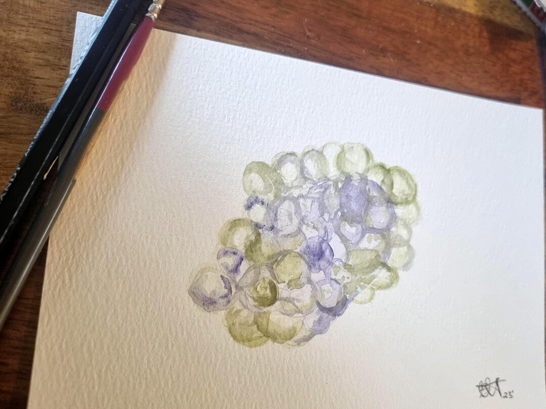 Personalised Embryo Watercolour Painting, Hand-painted IVF Keepsake ...