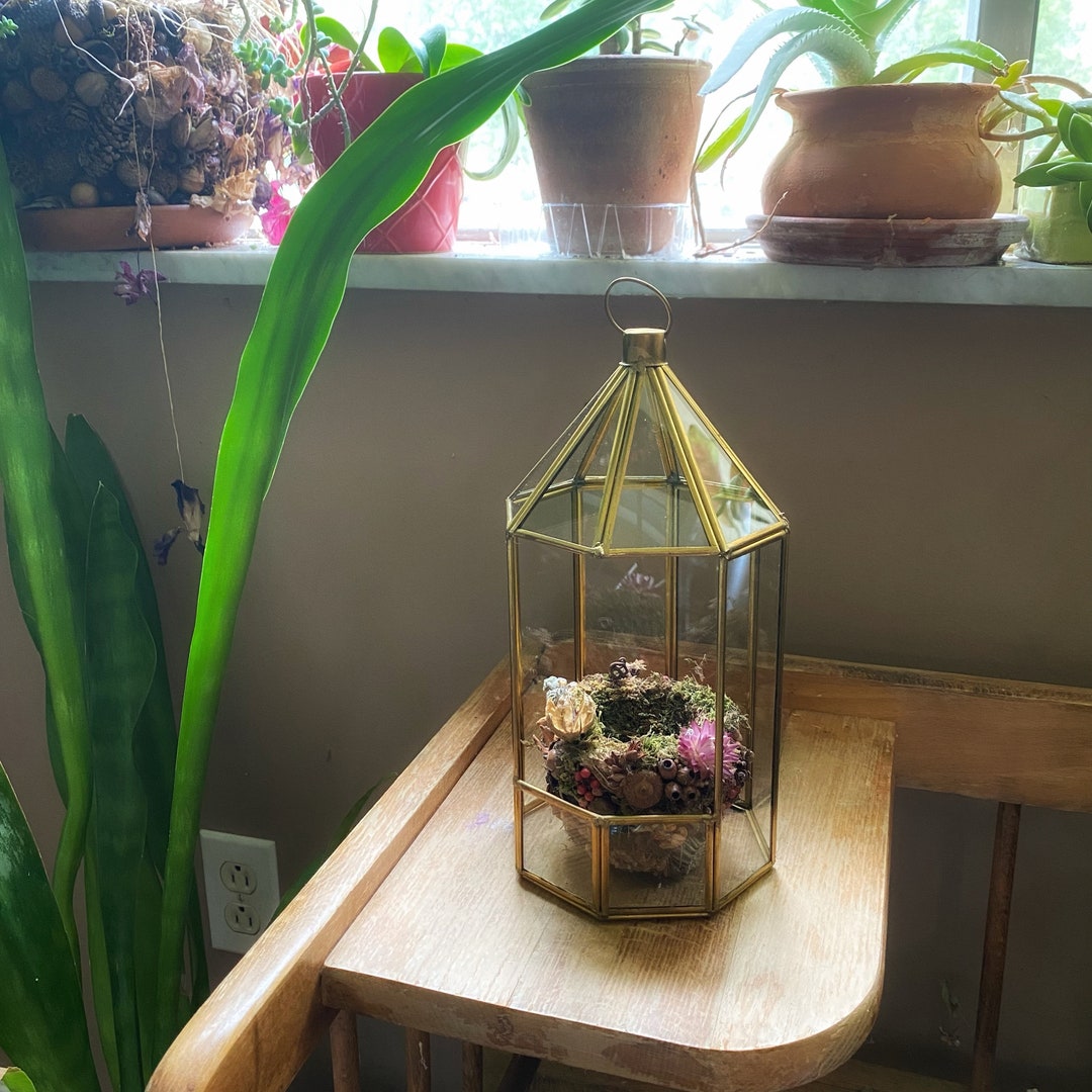 Nest in a Gilded Cage - Etsy