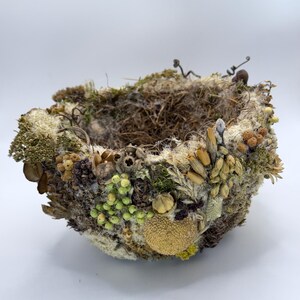 Autumn Fields Nest - Etsy
