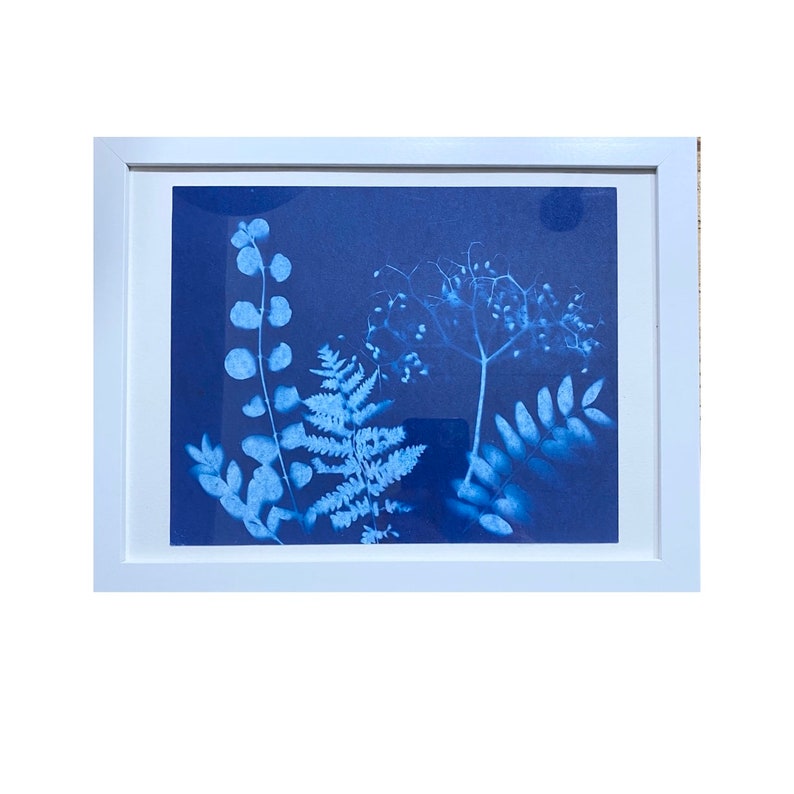 Botanical Cyanogram Print - Etsy