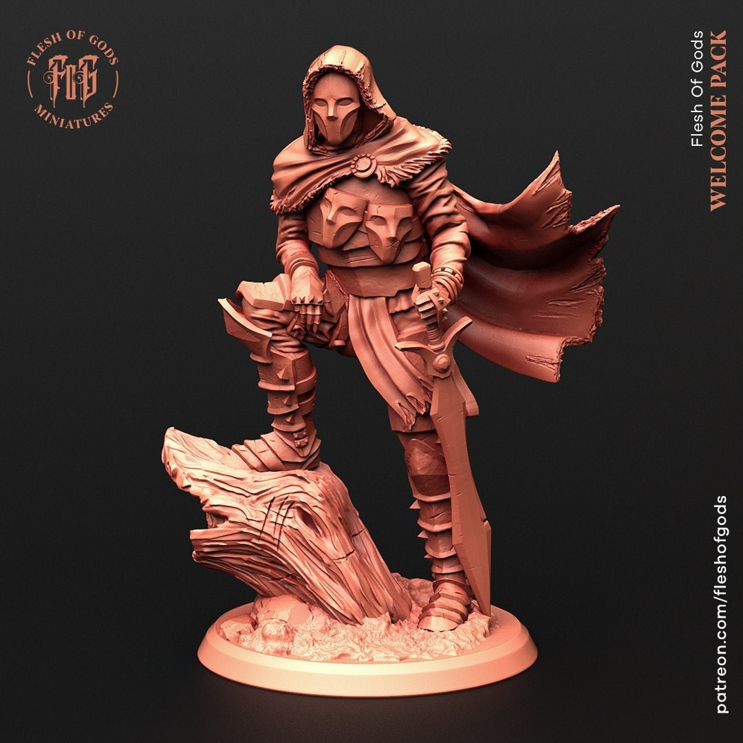 D&D Assassin / Rogue Pathfinder Miniature RPG Model High Order Assassin ...