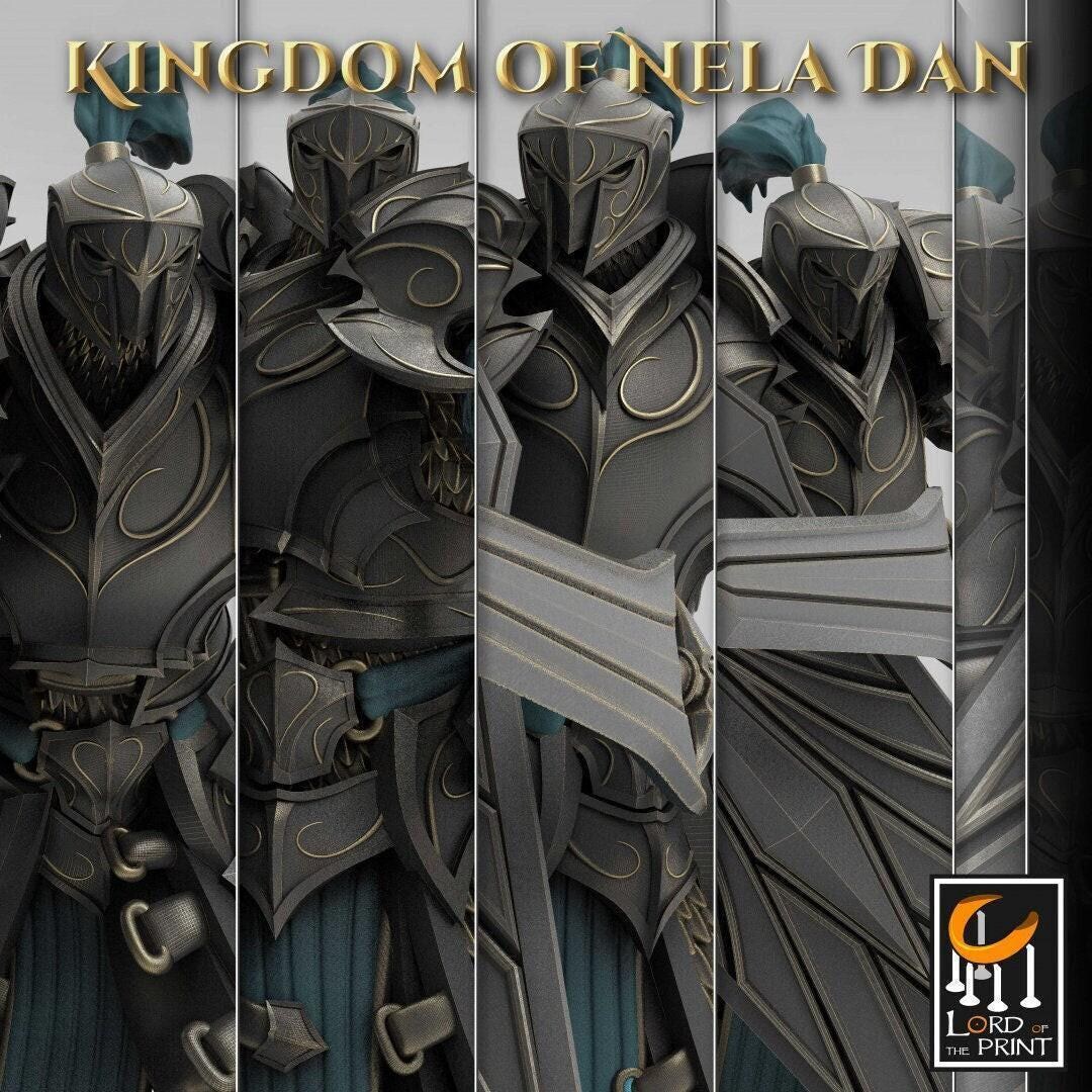 D&D Elven Sentinel Fighters | RPG Model | Nela Dan Pretorian Elves | by ...