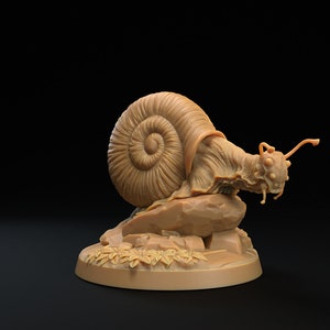 D&D Snail Monsters RPG Model Small Snails by Dragon - Etsy Australia