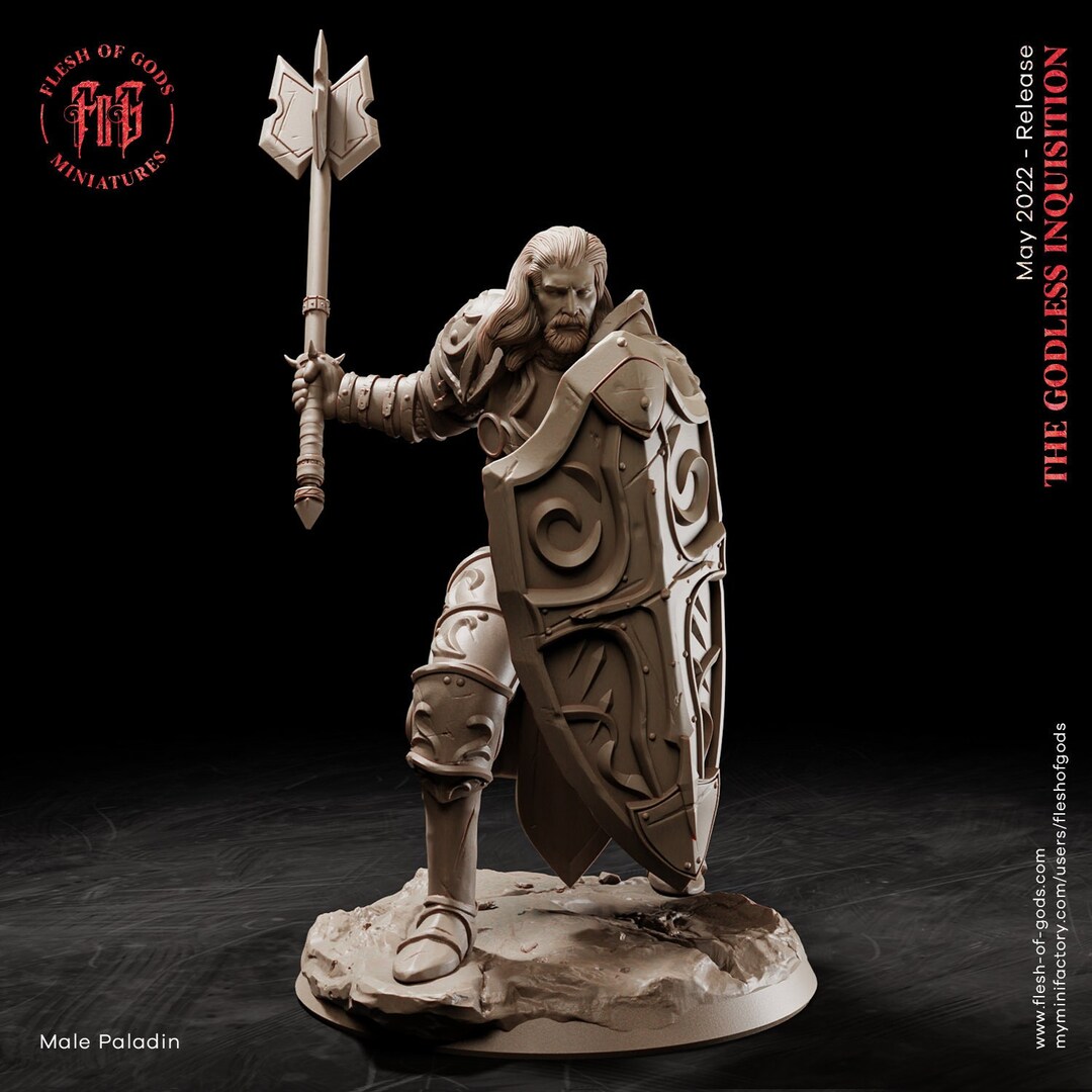 D&D Grizzled Paladin Veteran RPG Model Male Paladin by Flesh of Gods - Etsy