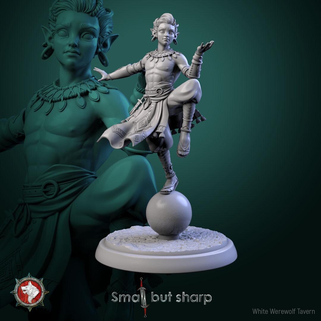D&D Dexterous Halfling Monk | RPG Model | Halfling Monk V1 by White ...