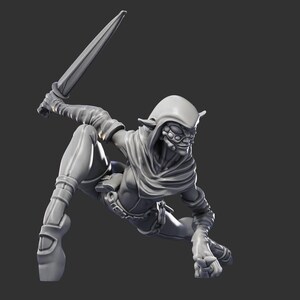 D&D Female Lolth Drow Rogue Assassin | RPG Model | Web Walker Aranea ...