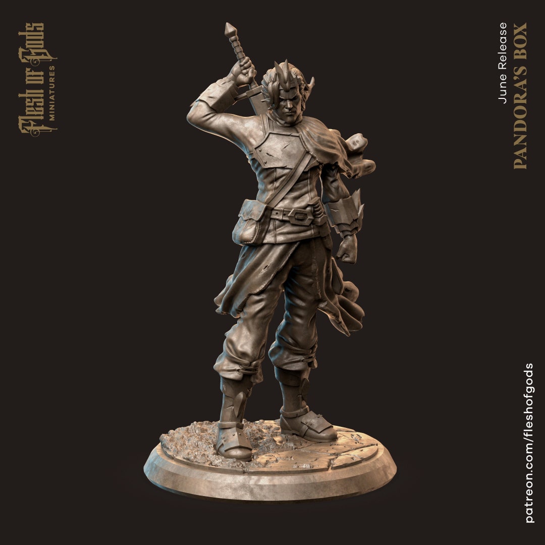 D&D Fighter / Rogue / Pathfinder Miniature RPG Model Cedric Liarel From ...