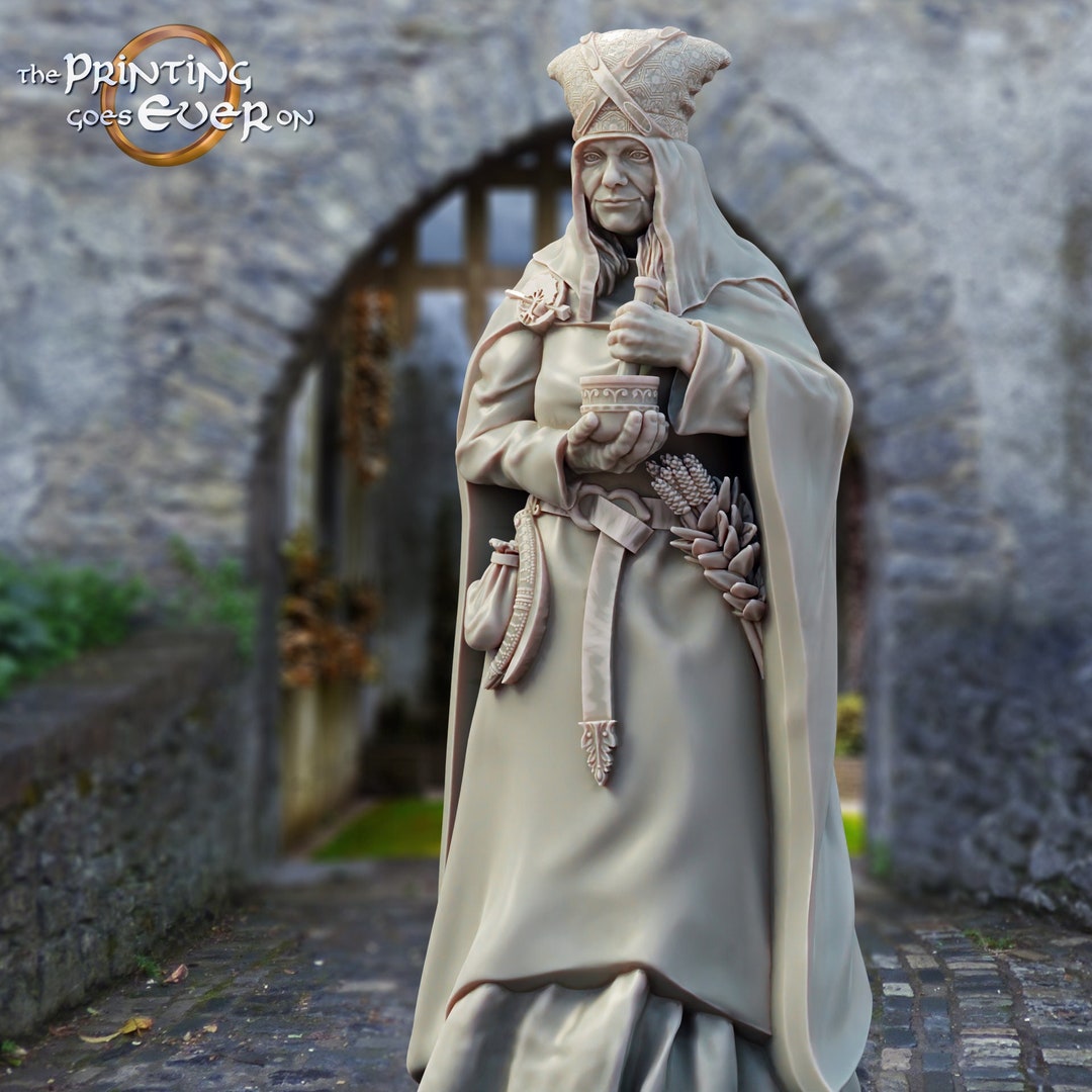 D&D Old Herbal Healer NPC RPG Model Healer by the Printing Goes Ever On ...