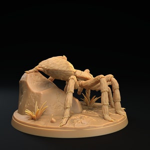 D&D Tarantula / Spider Monster / Pet RPG Model Giant Tarantula by ...