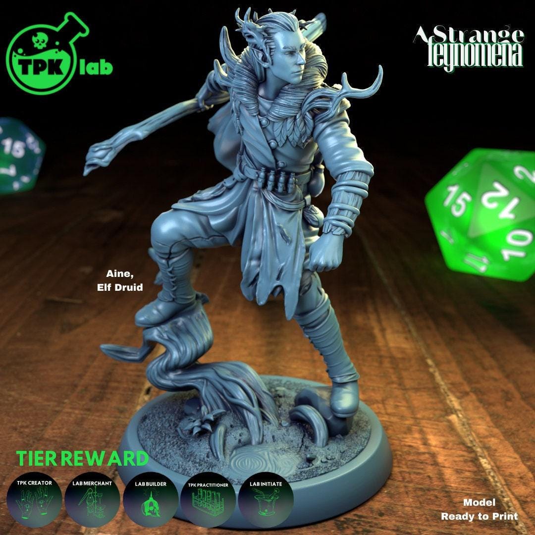 D&D Elf Druid \ Sorcerer | RPG Model | Aine Elf Druid by TPK LAB - Etsy ...