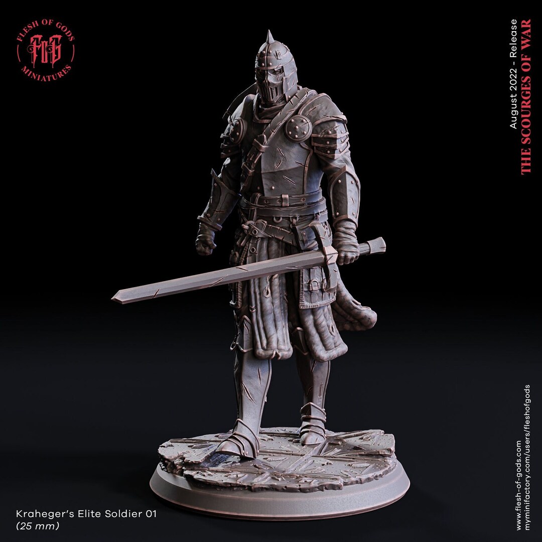 D&D Medieval Knight Mercenary RPG Model Kraheger's Soldier by Flesh of ...
