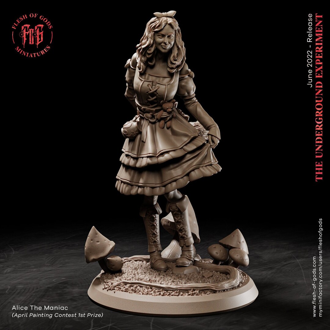 D&D Female Trickster Rogue Human RPG Model Alice the Maniac by Flesh of ...