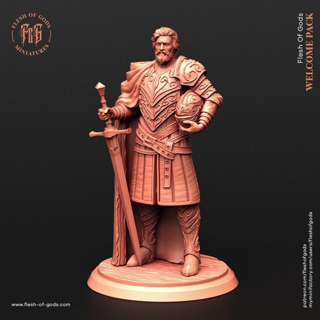 D&D Human Fighter / Paladin / Knight | RPG Model | Guild War Commander ...