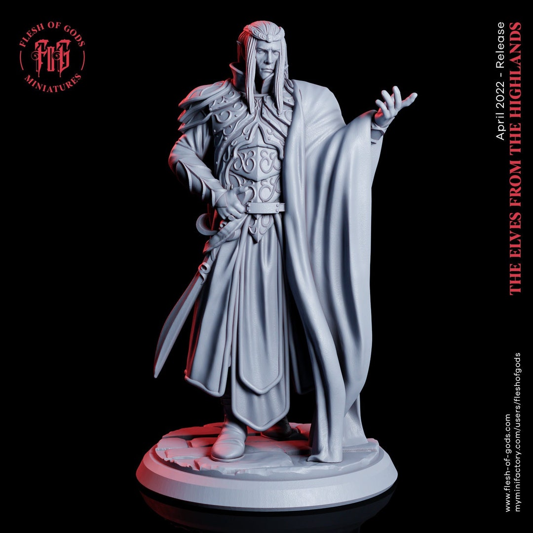 D&D Elf Warlock / Paladin Miniature RPG Model Highborn Elf by Flesh of ...