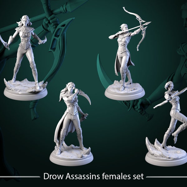 Female Drow Rogue Miniature - Etsy