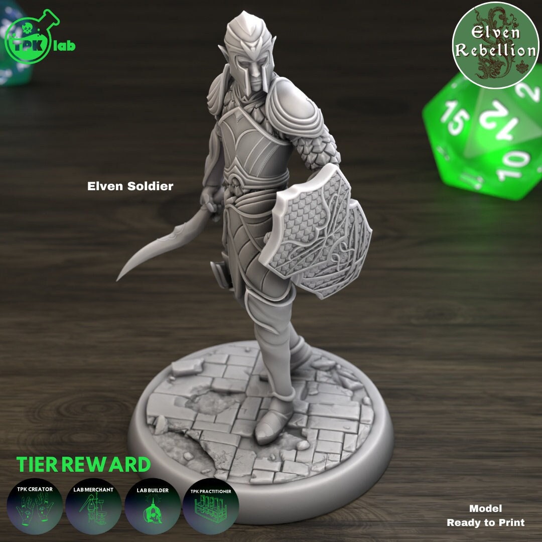 D&D Elven Warrior Paladin RPG Model Elven Soldiers by TPK LAB - Etsy
