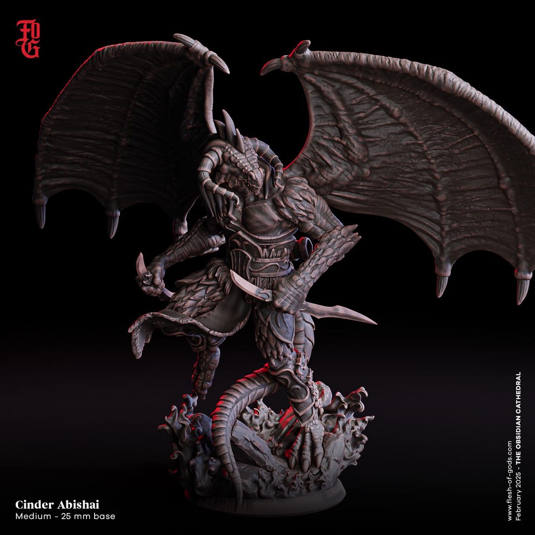 D&D Dragonborn With Wings Assassin | RPG Model | Cinder Abishai | Flesh ...