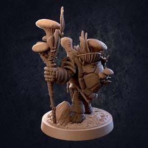 D&D Turtle-folk Fungus Master | RPG Model | Doc Rooney by Dragon ...
