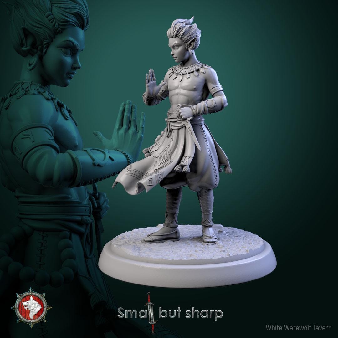 D&D Halfling Monk Sun Soul | RPG Model | Halfling Monk V6 by White ...