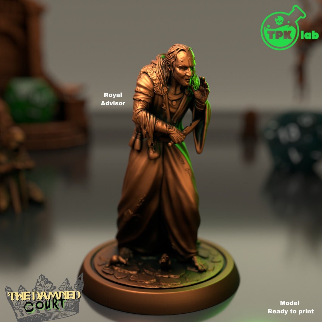 D&D Old Rogue Assassin RPG Model Royal Advisor by TPK LAB - Etsy Australia