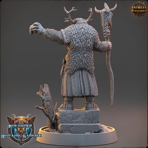 D&D Viking Necromancer Shaman RPG Model Lokur of the Dead by Daybreak ...