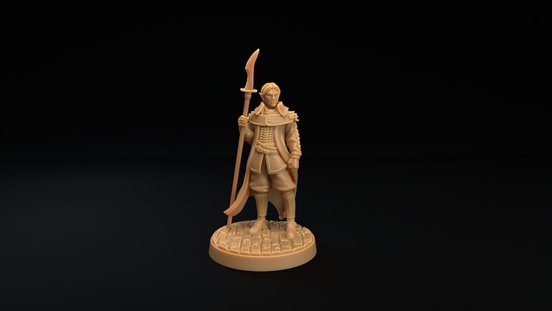D&D Elf Fighter / Warlock RPG Model Astral Elf Guard by Dragon Trappers ...