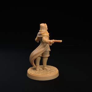 D&D Masked Elf Gunslinger / Rogue RPG Model Astral Elf Shooter by ...