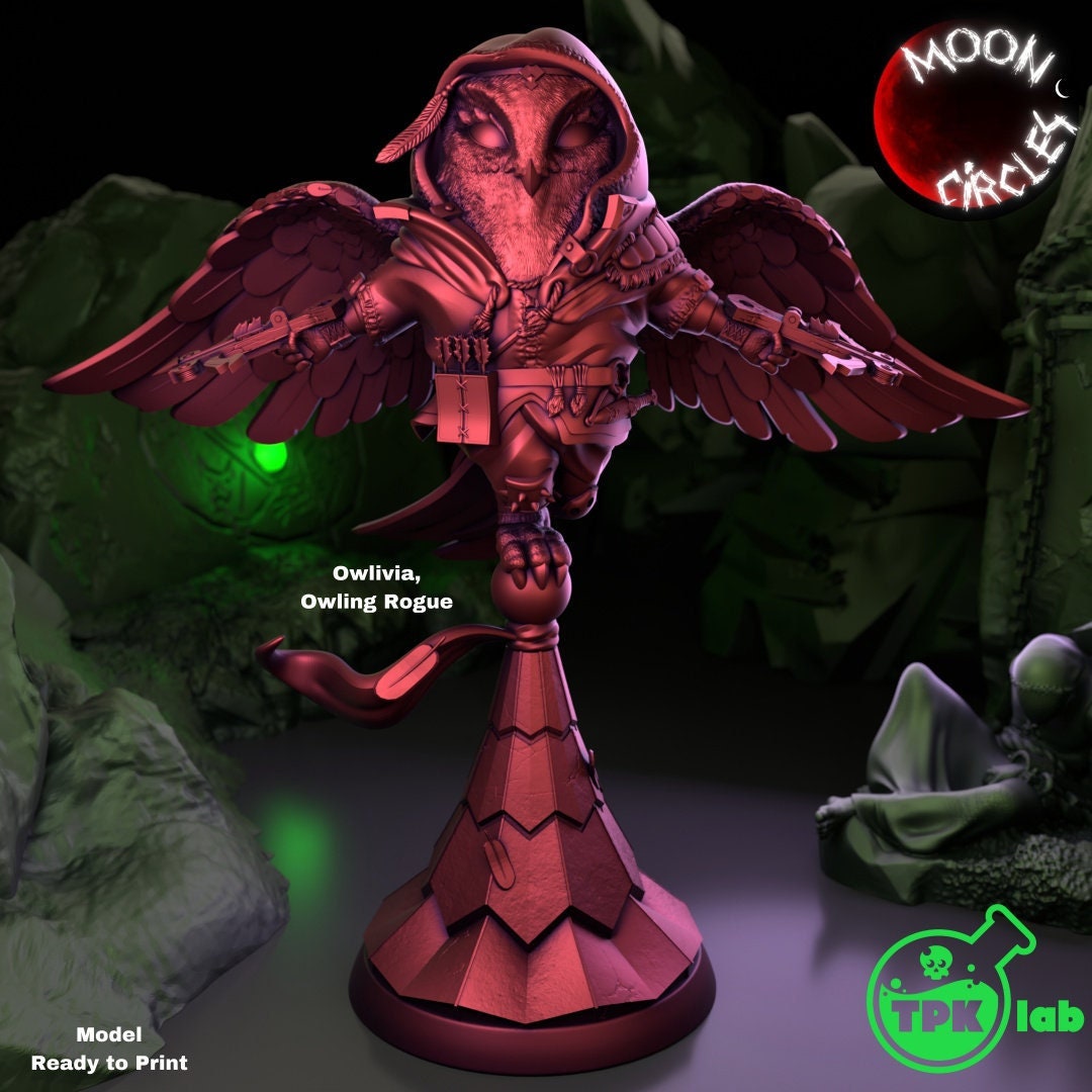 D&D Female Aarakocra Rogue Owling RPG Model Owlivia by TPK LAB - Etsy ...