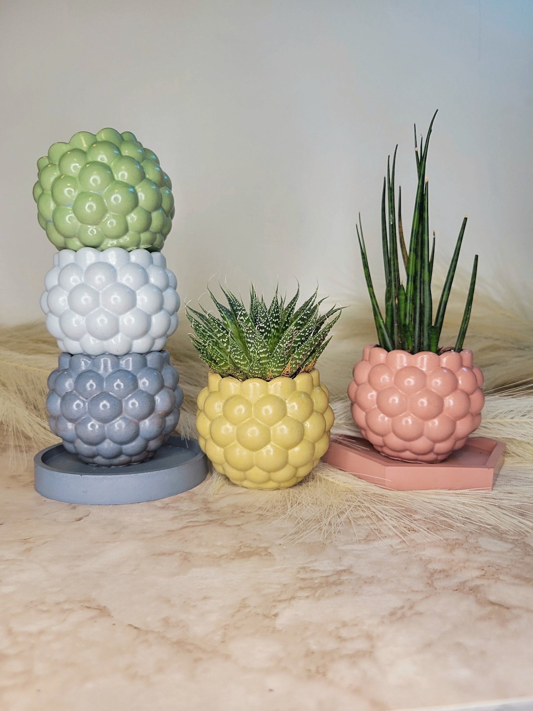 Bubble Plant Pot | With or Without Drainage | Satin Sealant | Succulent ...