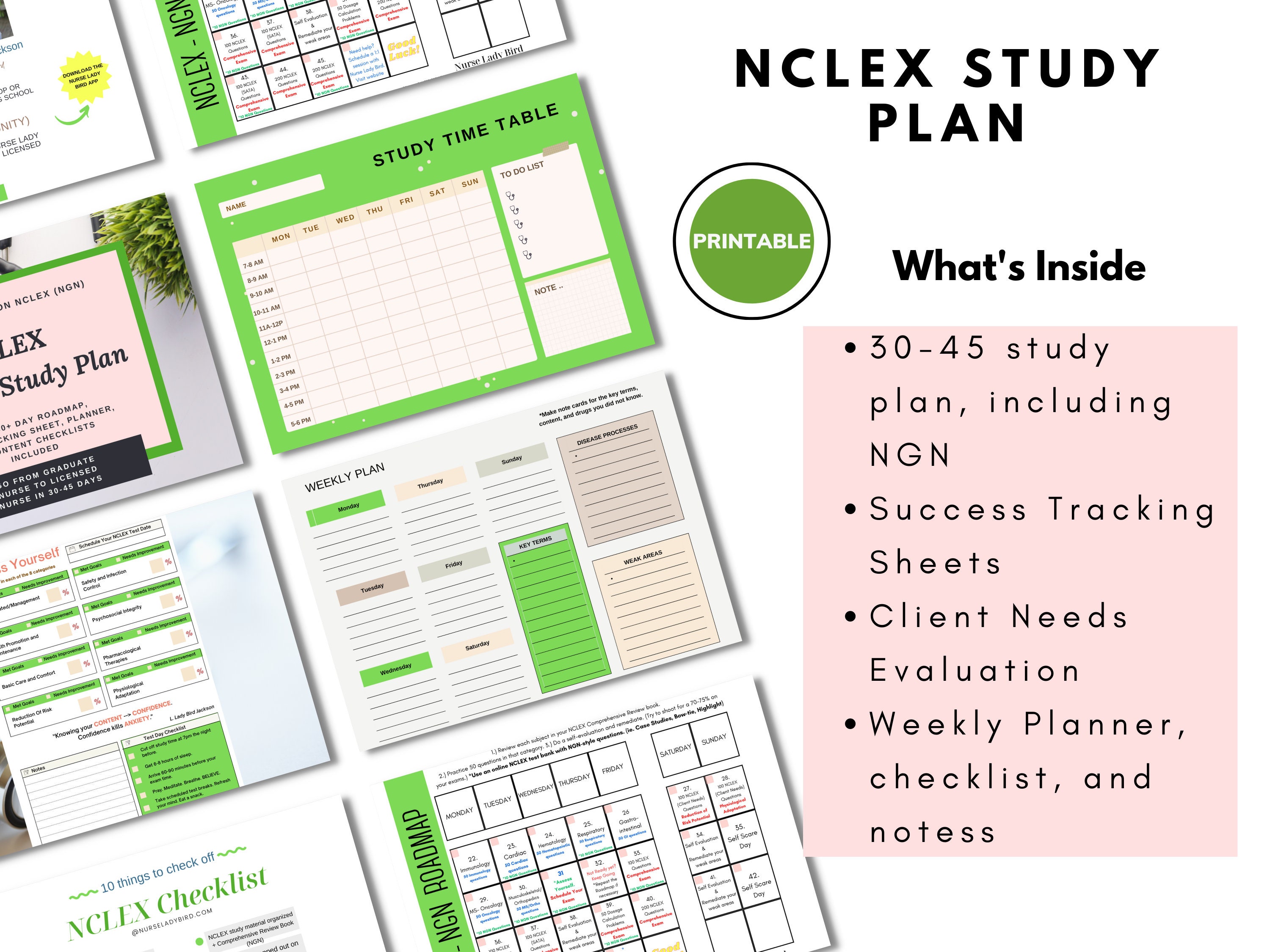 NCLEX Study Plan - Etsy