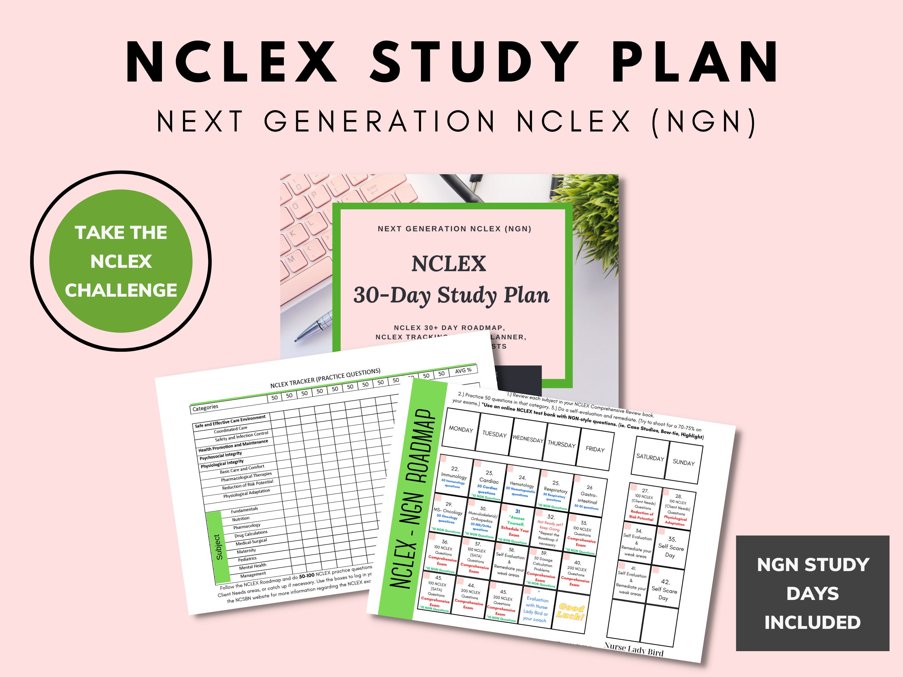 NCLEX Study Plan - Etsy