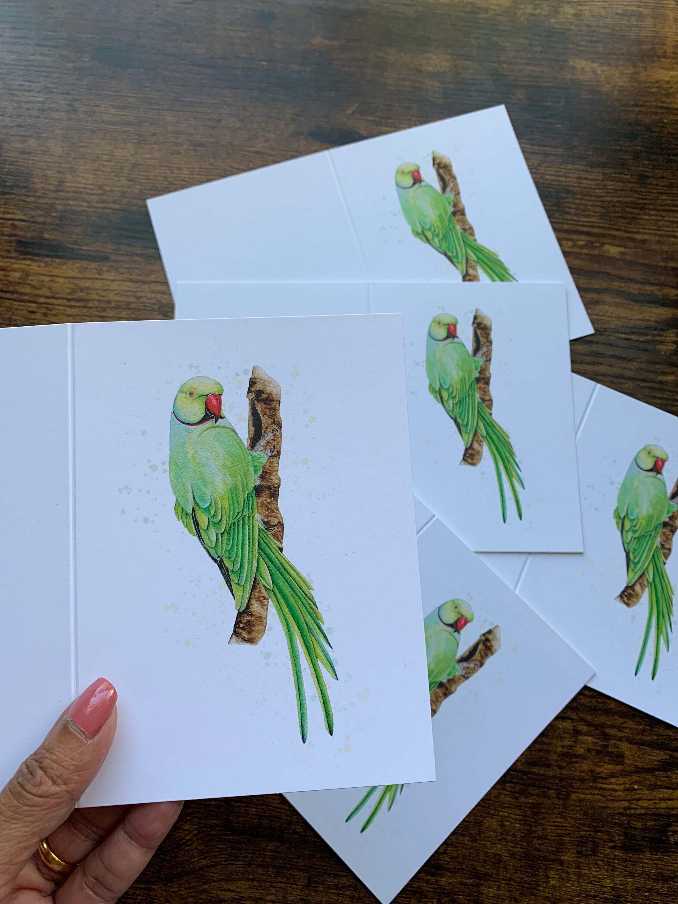 Parakeet Cards Parrot Greeting Cards Parrot Note Cards - Etsy