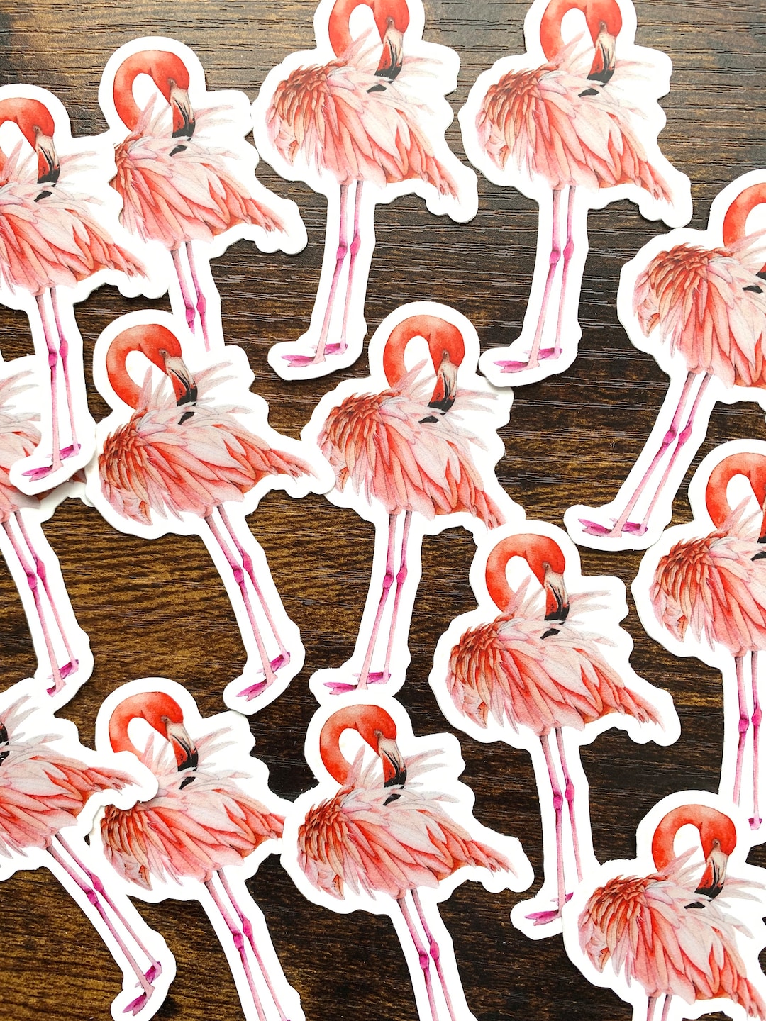 Flamingo Sticker: Weatherproof Vinyl Stickers, Tropical Birds - Etsy